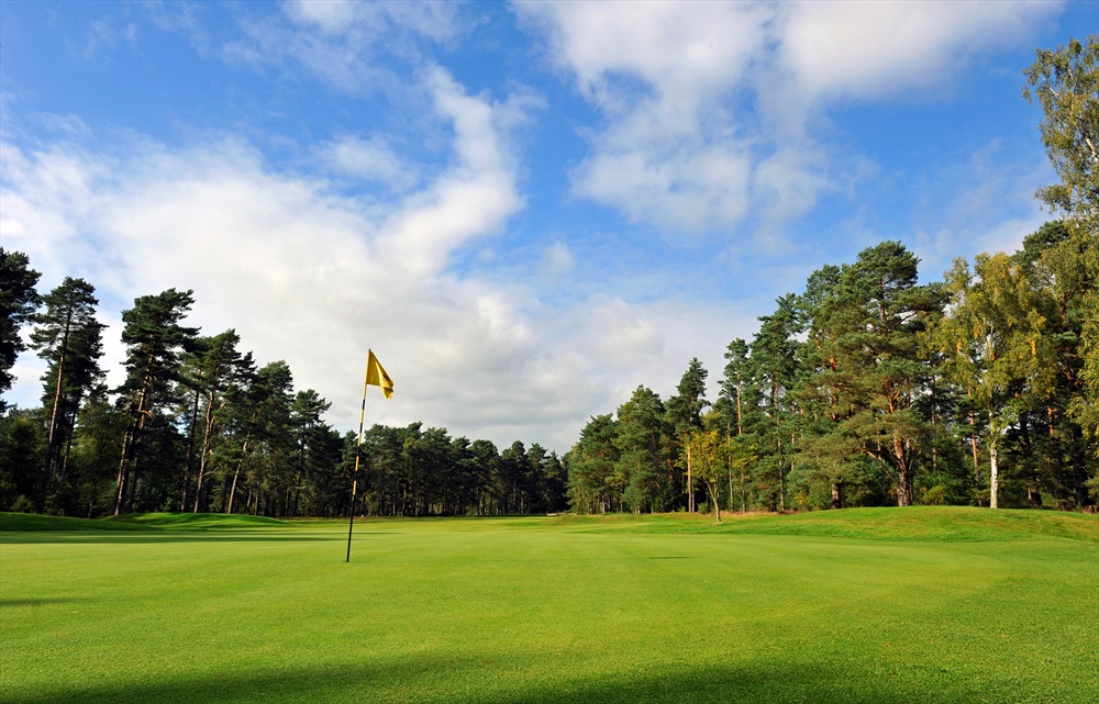 Blairgowrie Rosemount